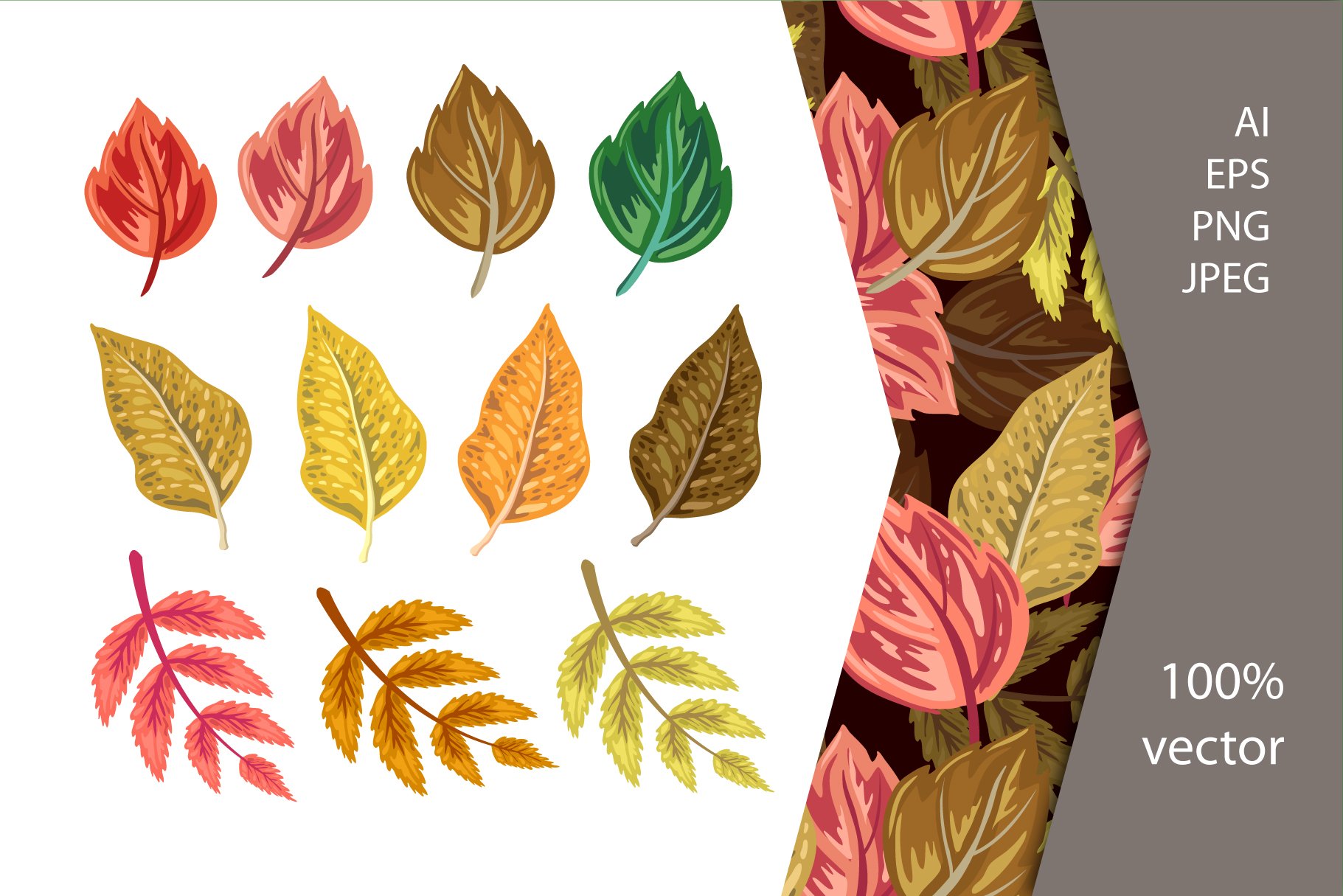 Vector Autumn Leaves (923365)