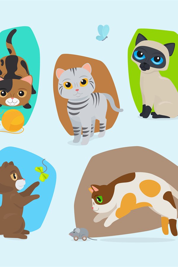 Cute kittens isolated illustration set