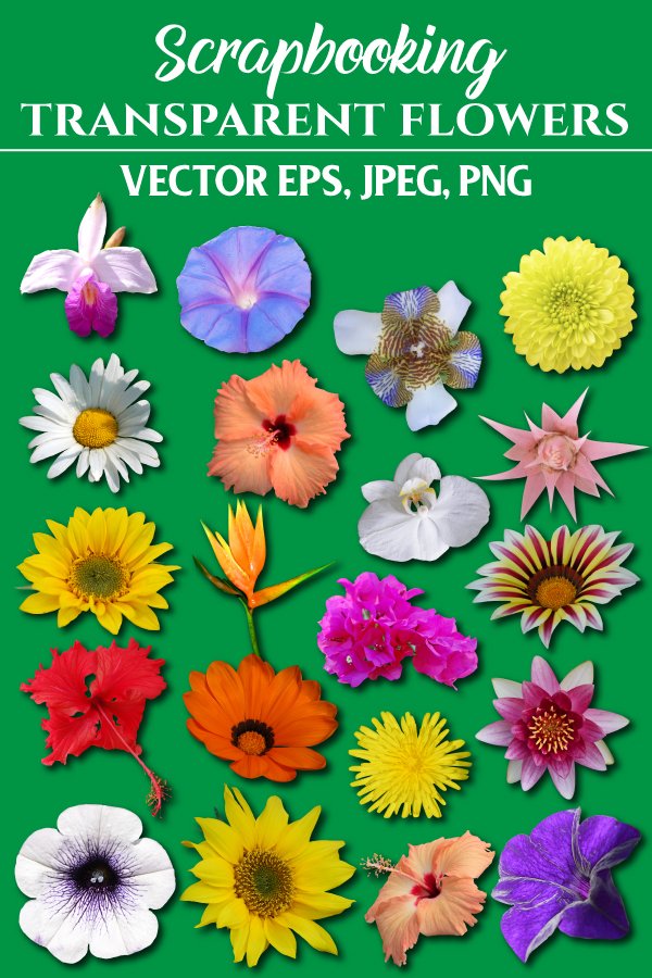 Scrapbooking Flowers | Transparent Digital Scrapbook Flowers