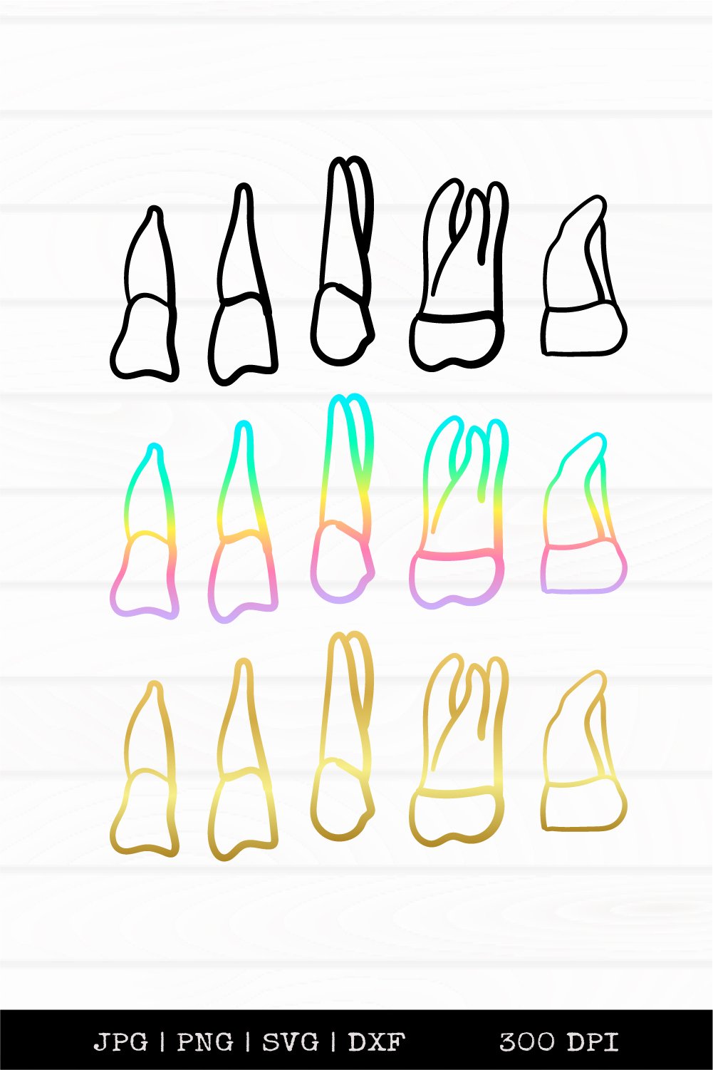 Dental Dentist Orthodontic Teeth SVG PNG Cut Files