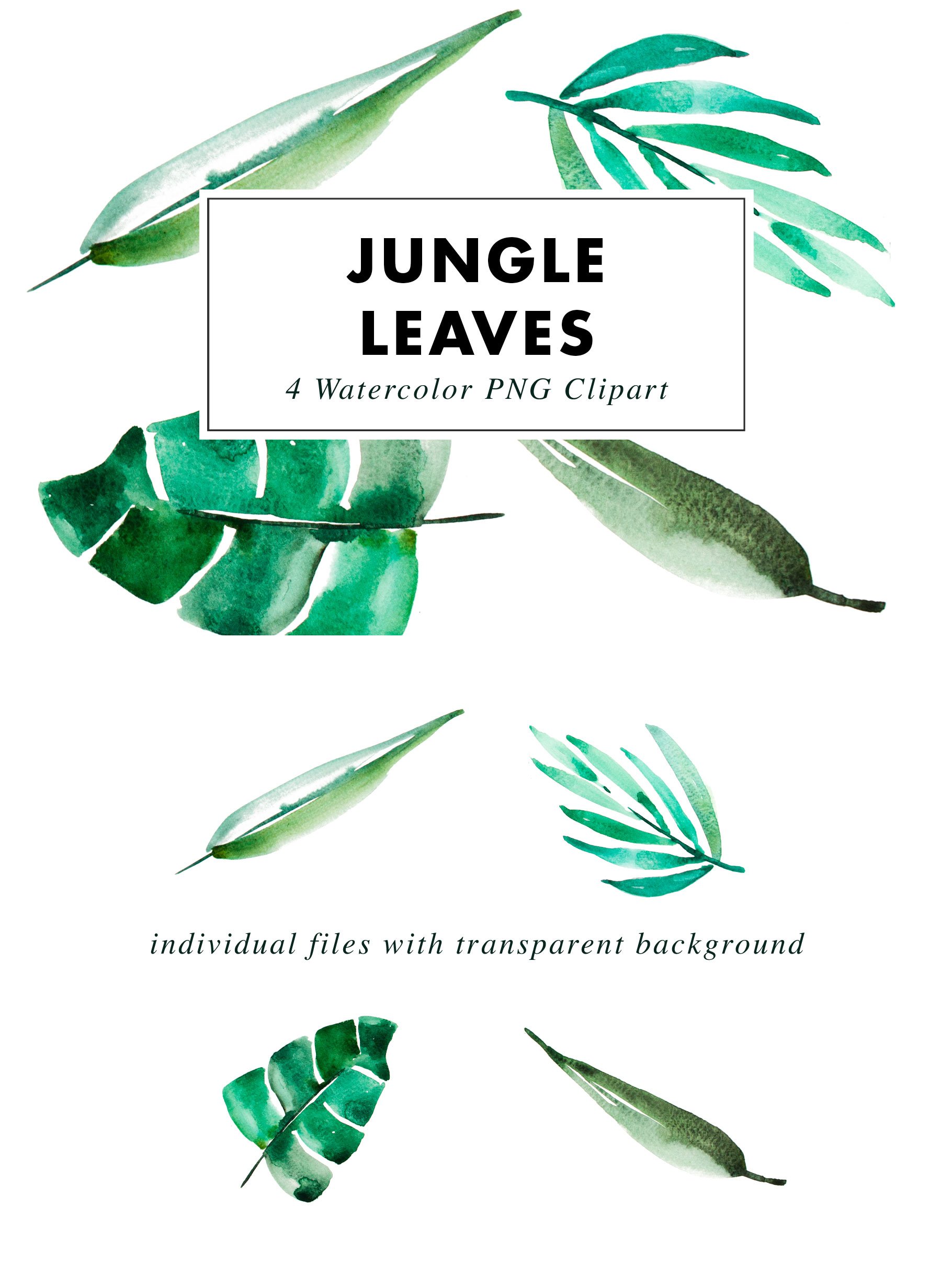 Watercolor jungle leaves | Clipart PNG Illustrations