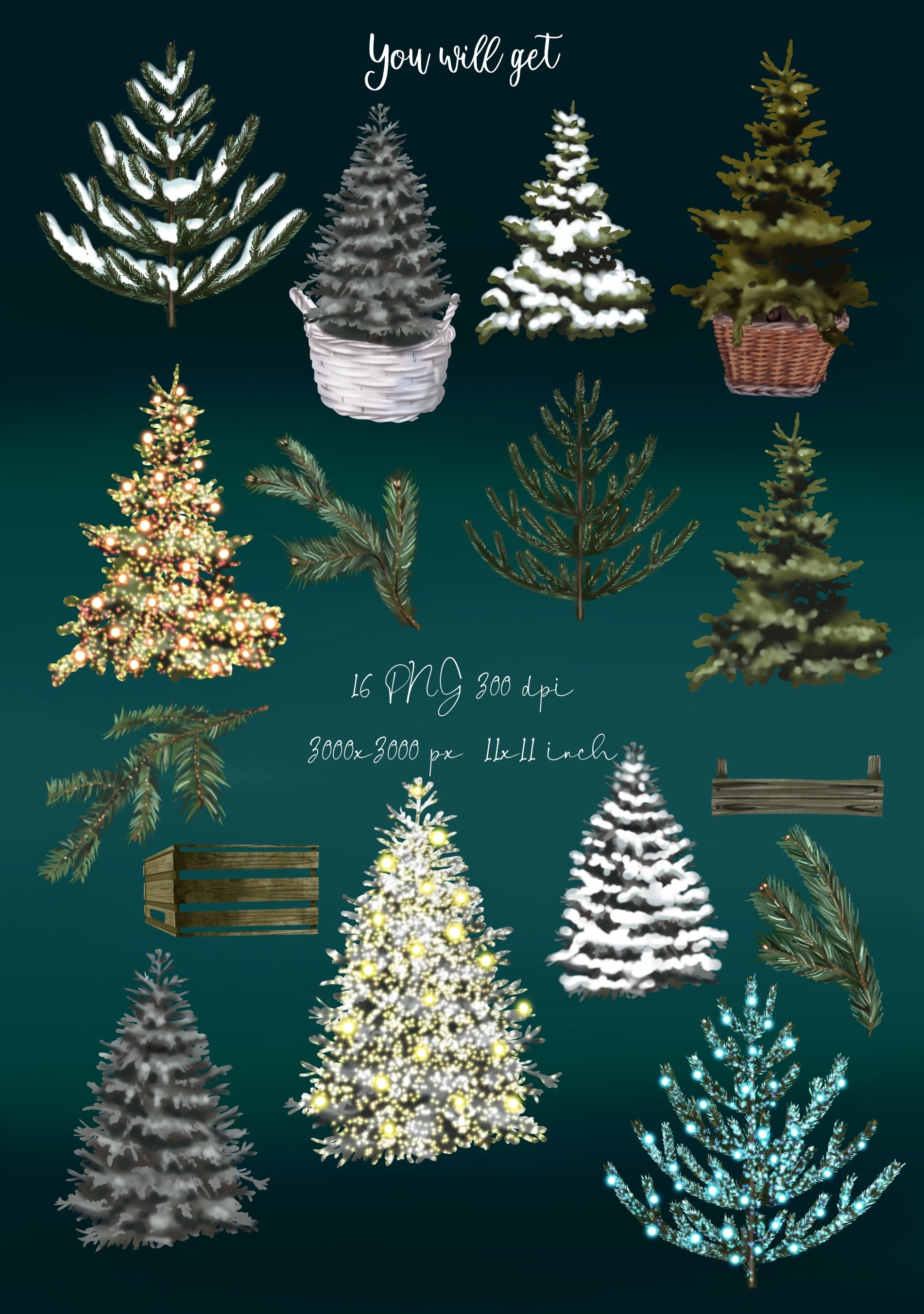Watercolor Christmas Tree clipart, Pine tree PNG, (2135983)