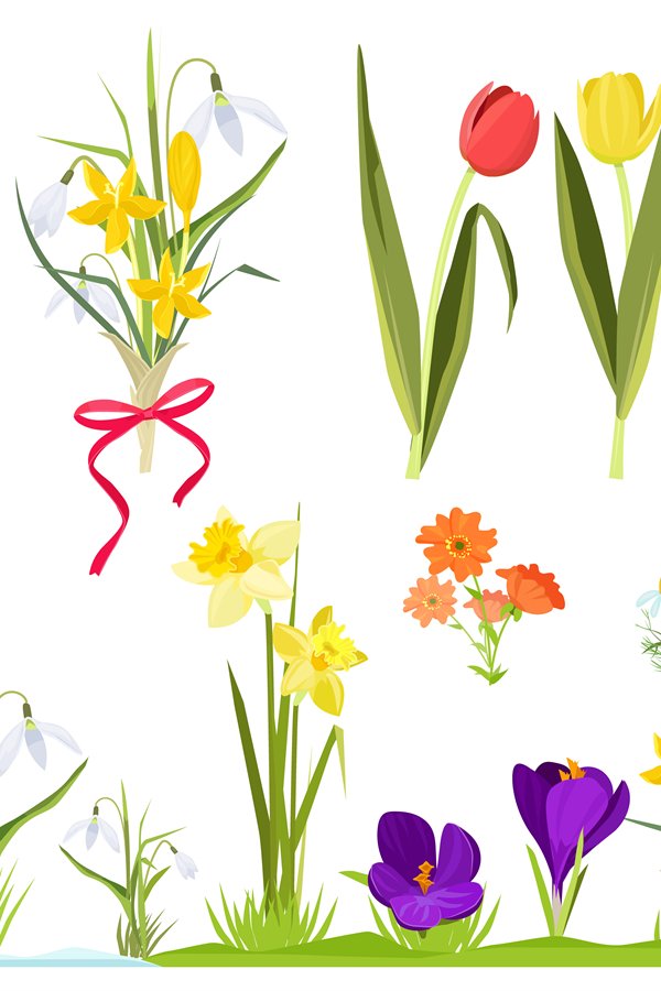 Cartoon flowers. Spring plants gardening set chamomile and t