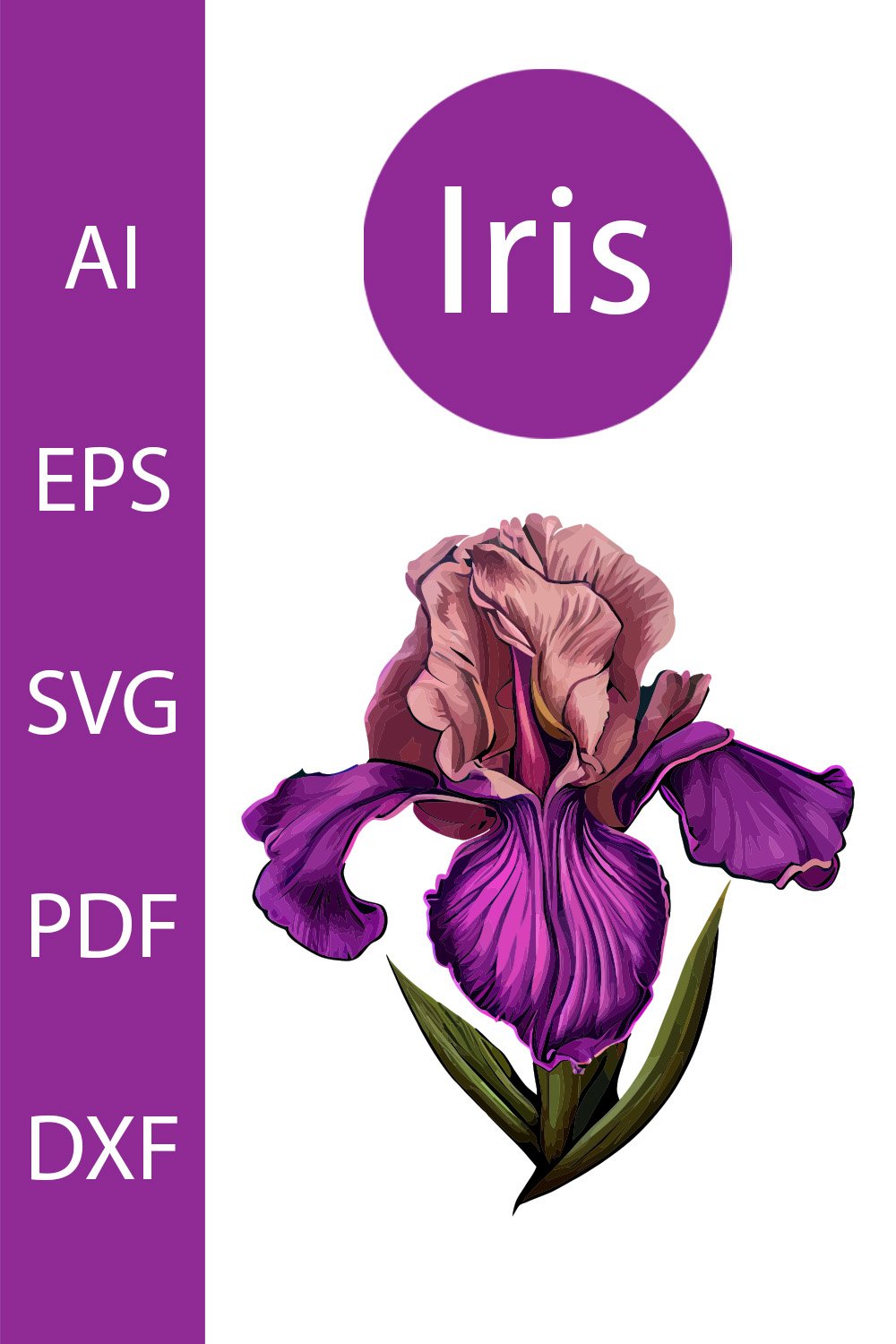 IRIS Graphic in AI, EPS, SVG, PDF and DXF
