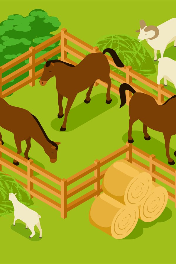 Animal farm, livestock with horses, goats, sheeps and worker