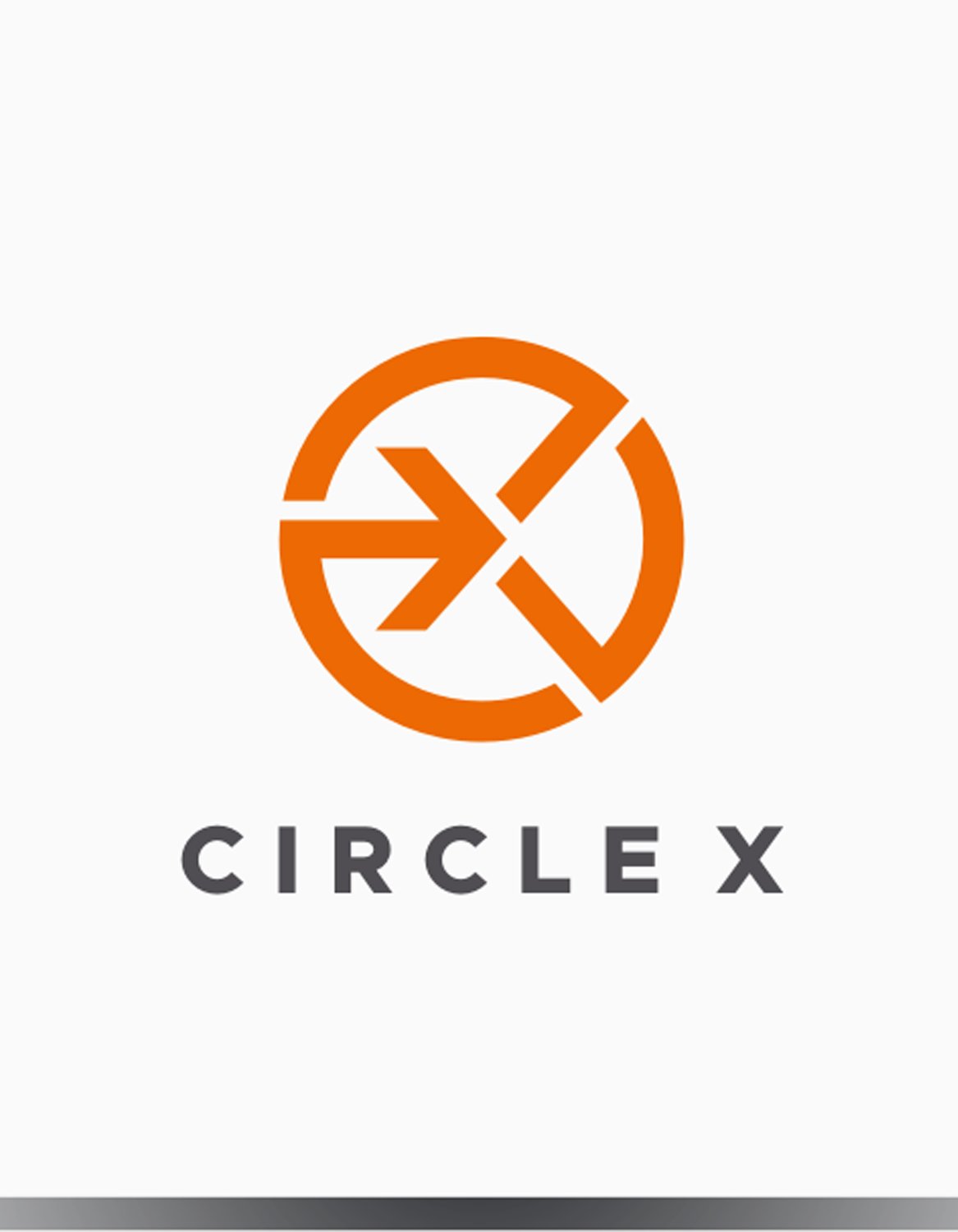 Circle Letter X vector logo design template (3173349)