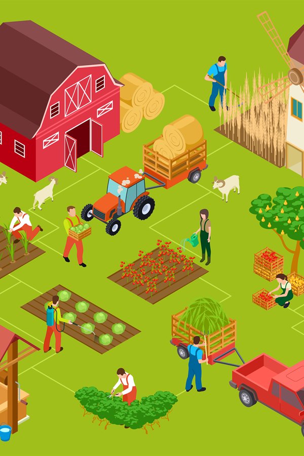 Fruits and vegetables farm, isometric gardening vector conce