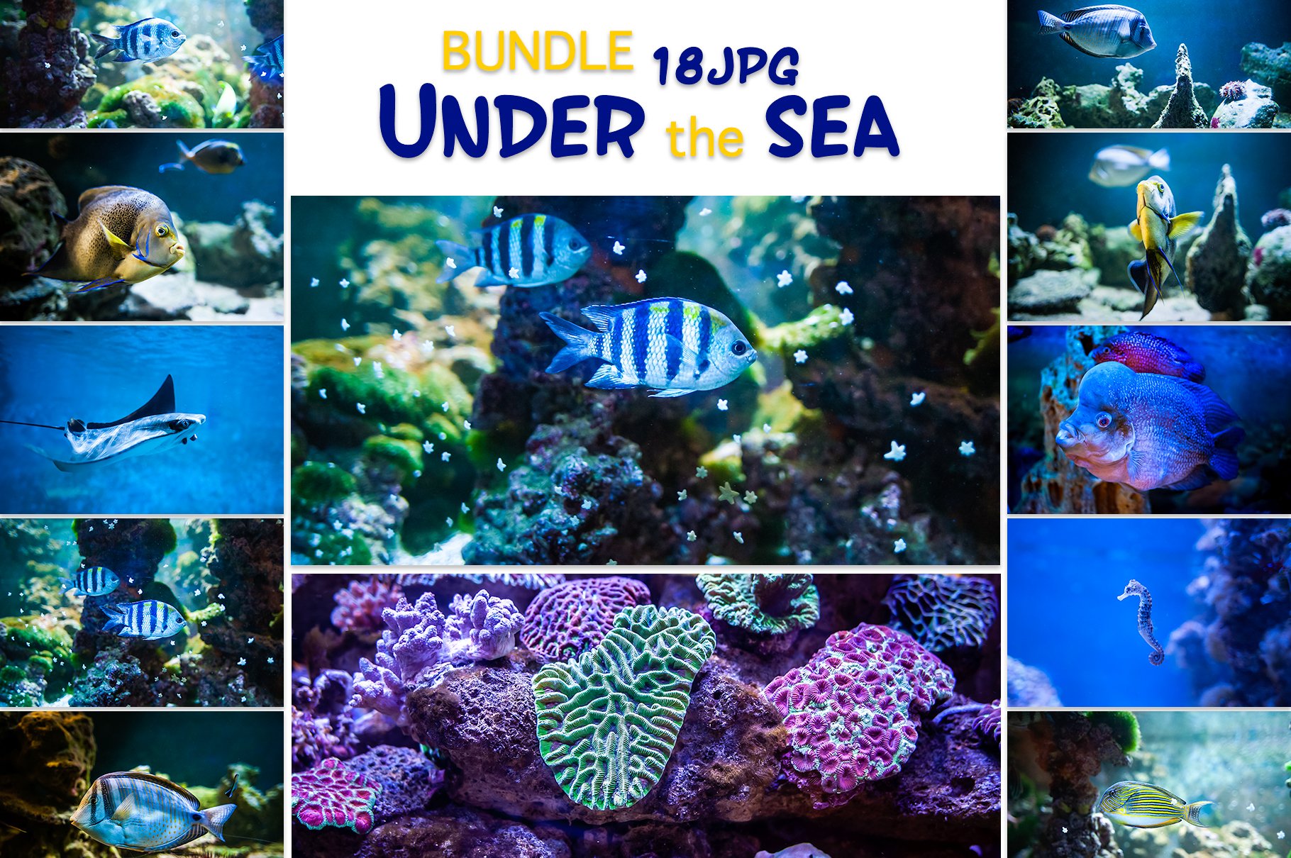 Under the sea BUNDLE (808351)