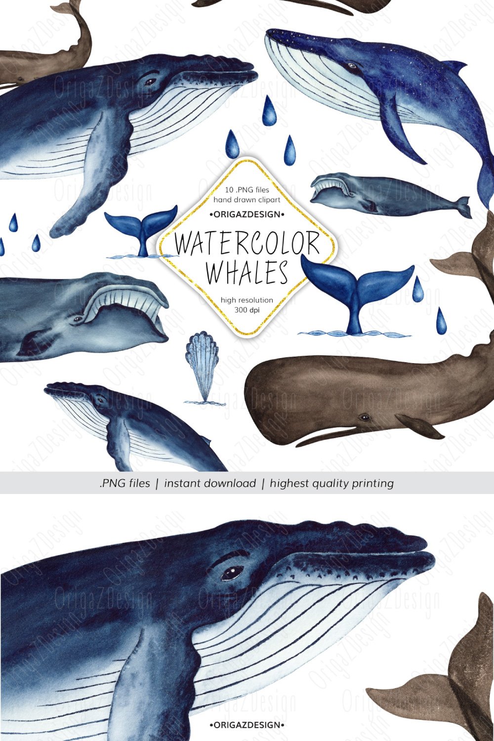 Blue Whale Clipart Under the sea Ocean life animals clip art