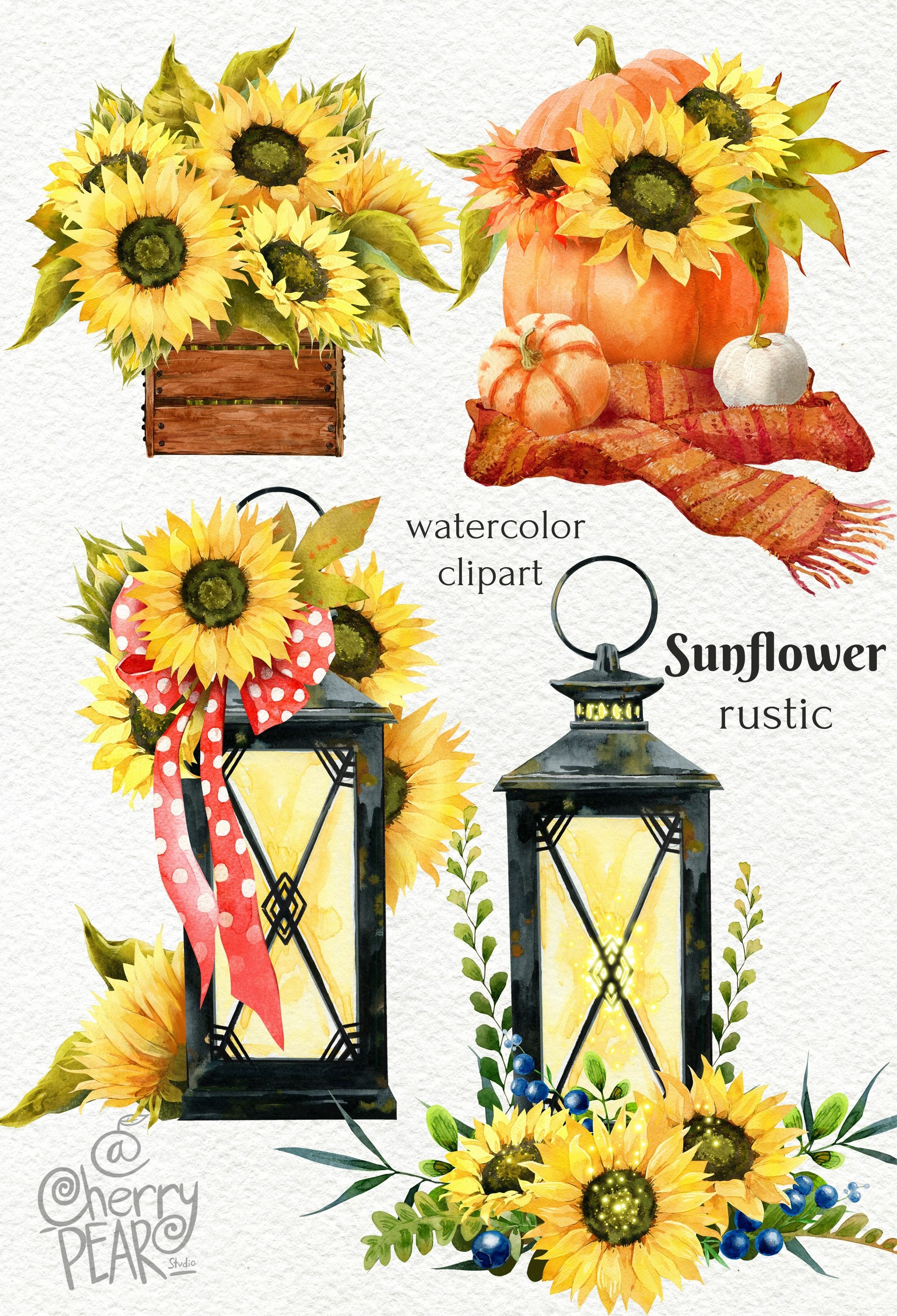 Watercolor Fall Sunflower , rustic clipart (1485761)
