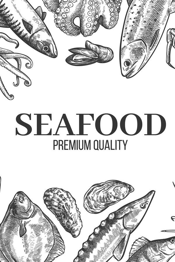 Sketch seafood. Hand drawn fresh fish, lobster, crab, oyster