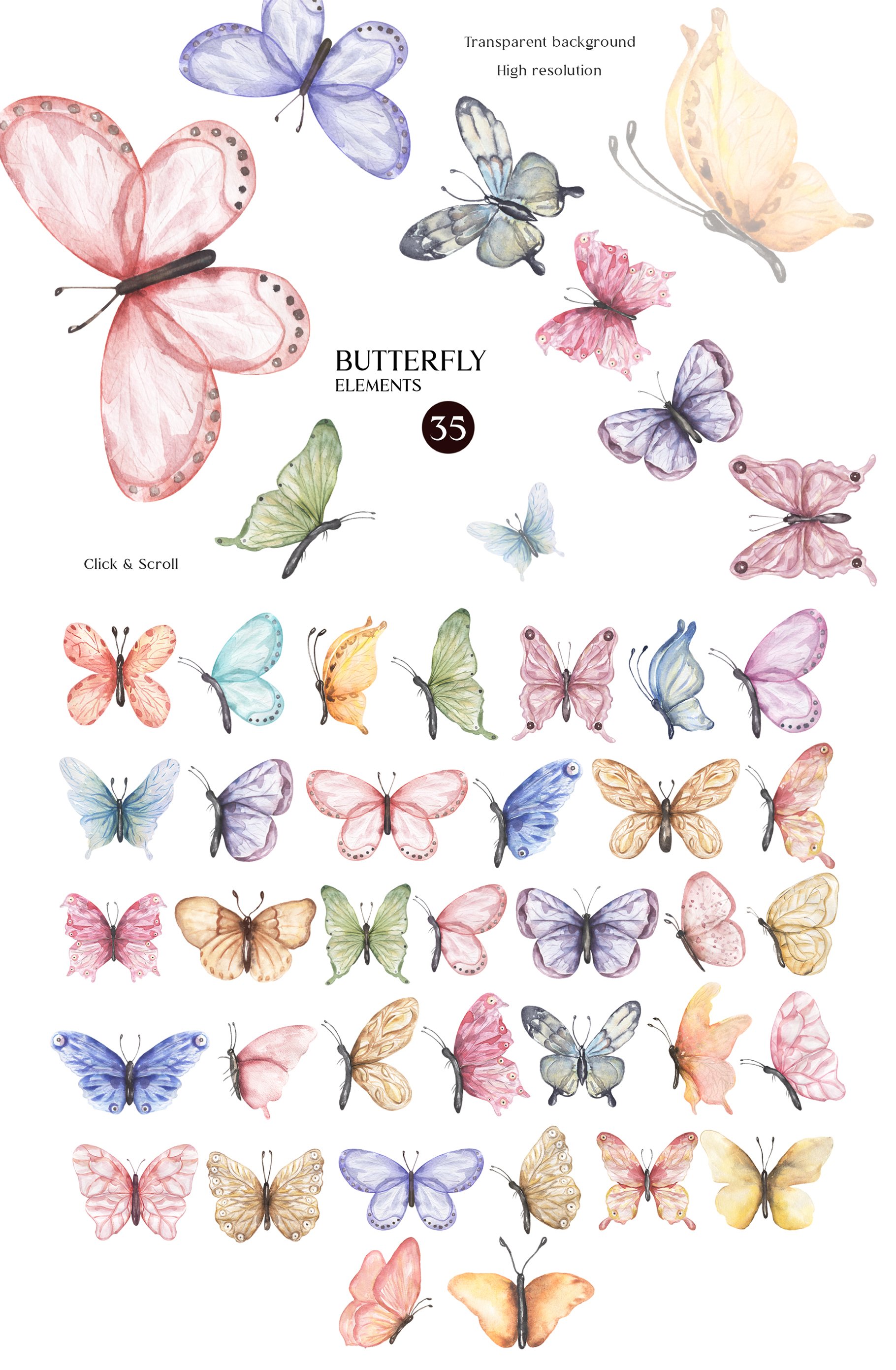 Watercolor Butterfly Collection Bundle