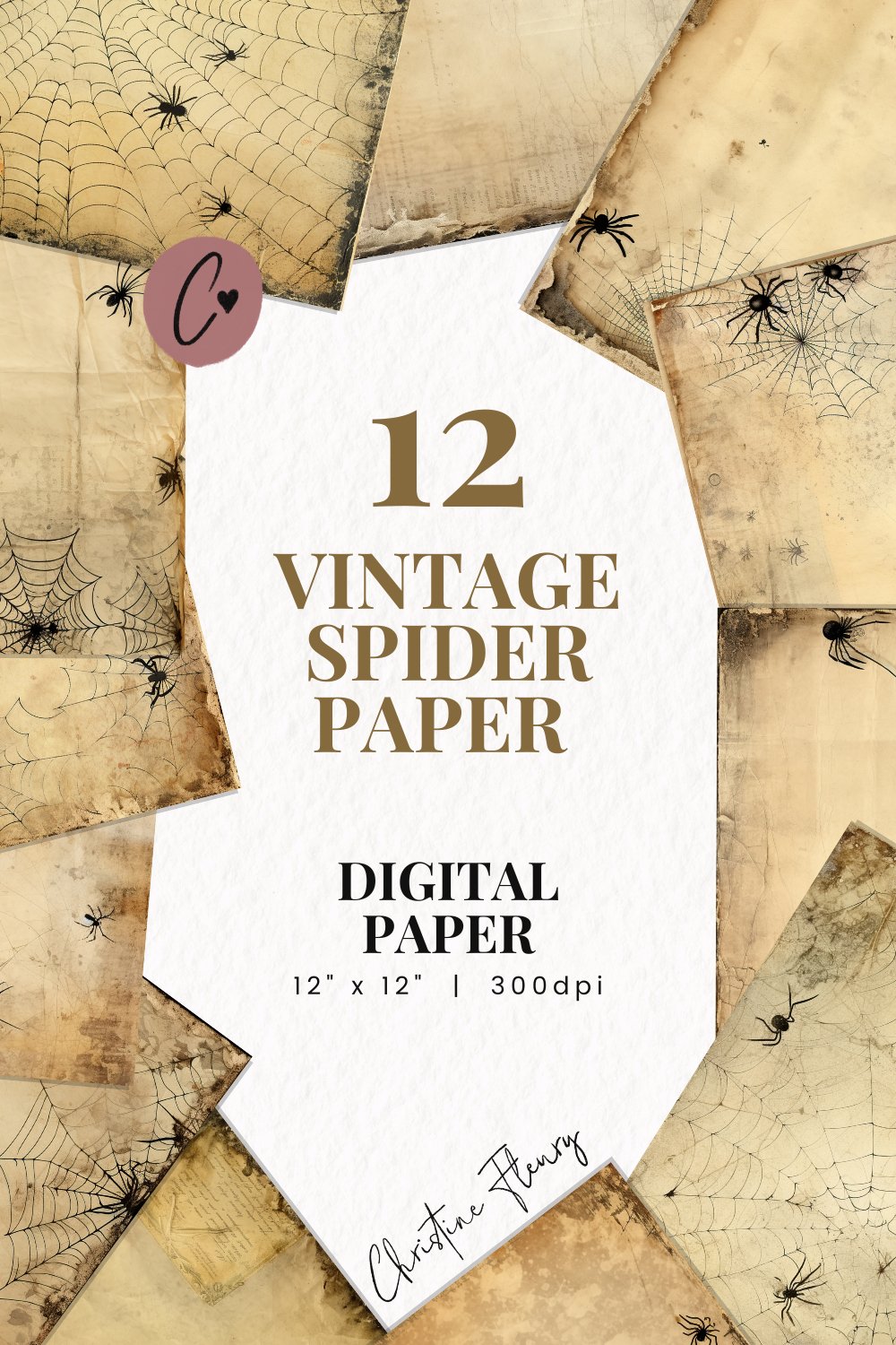 12 Vintage Spiders Digital Paper