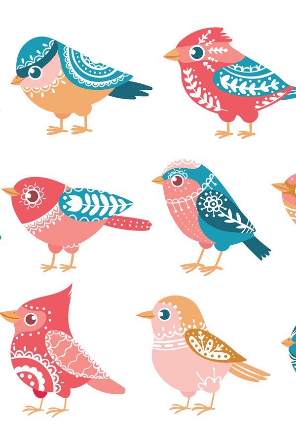 Decorative birds. Hand drawn bird with folk ornaments in sca