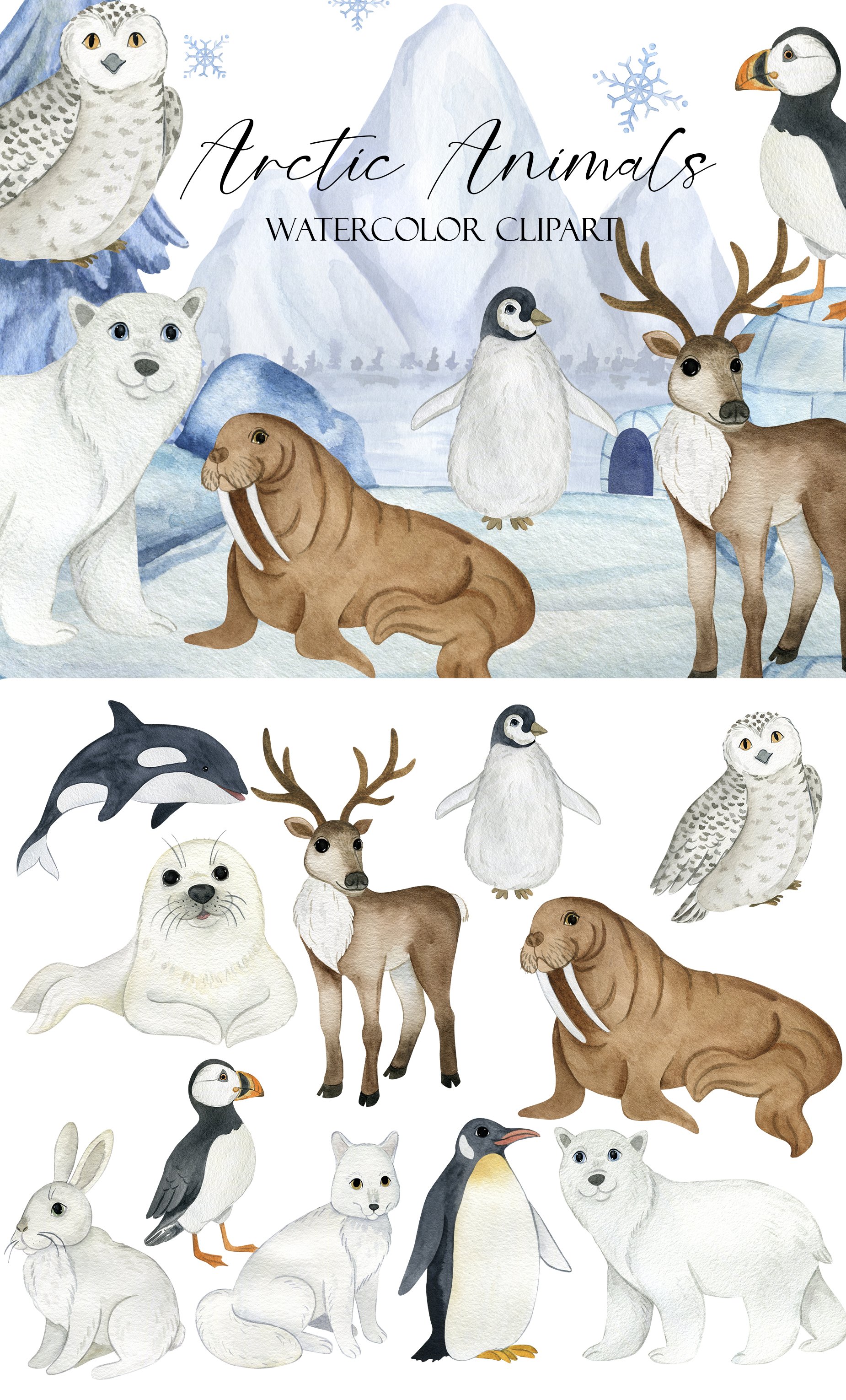winter clipart, watercolor arctic animals png (1606779)
