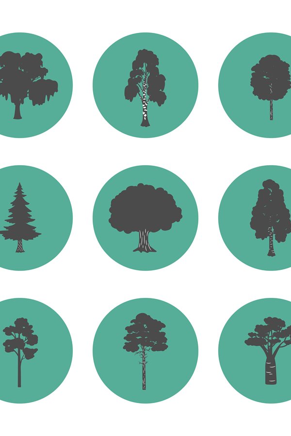 Forest trees icons (955394)