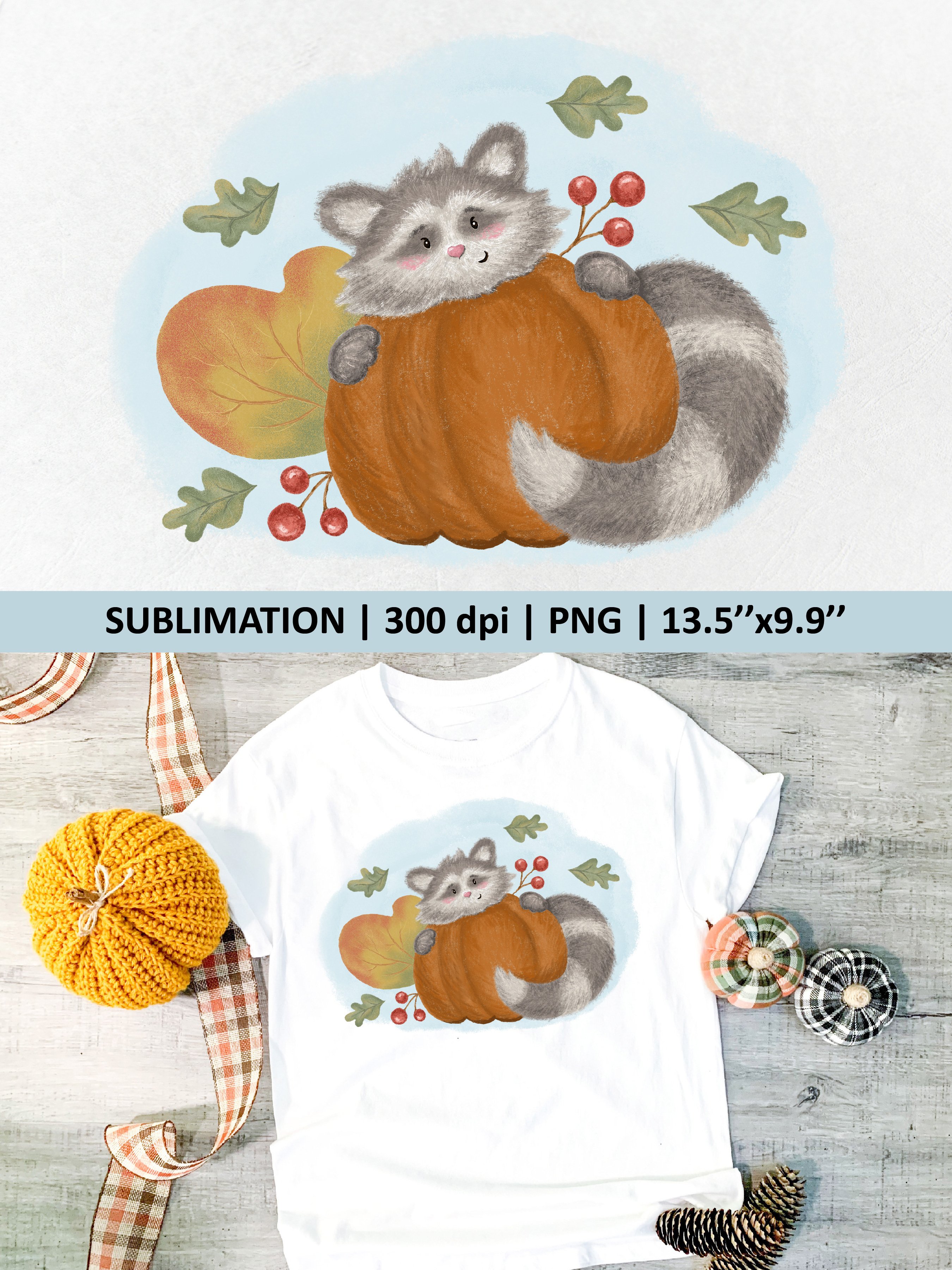 Hand drawn raccoon with pumpkin sublimation - 1 design 3 PNG