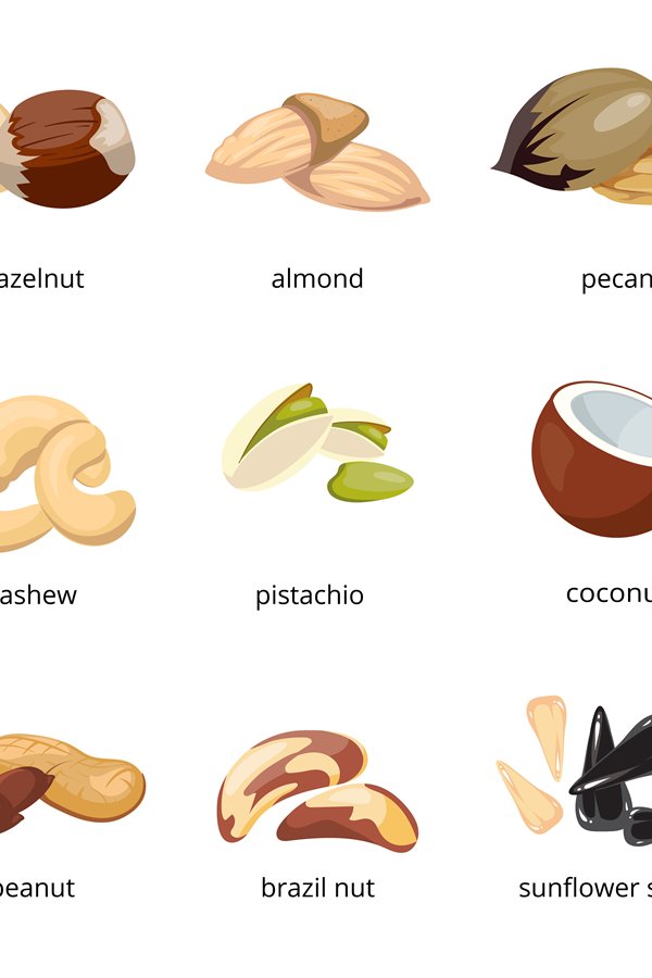 Cartoon nuts vector set