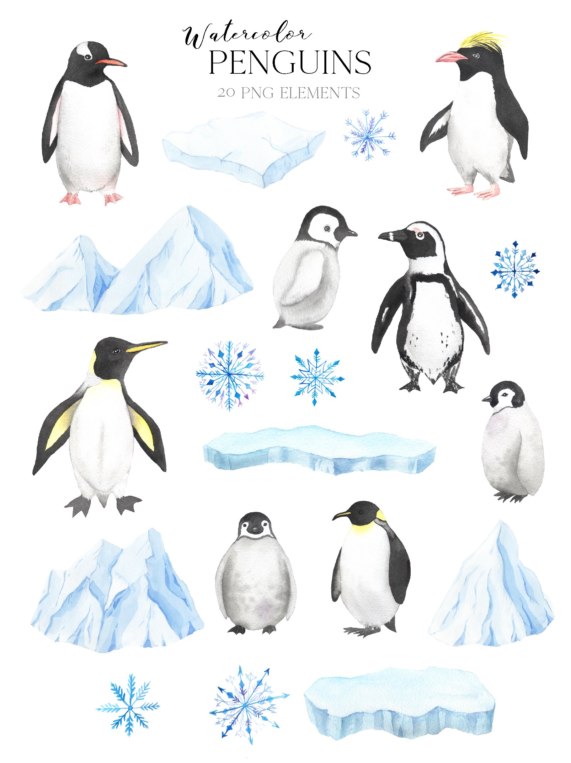 Watercolor Penguin Animals Clipart