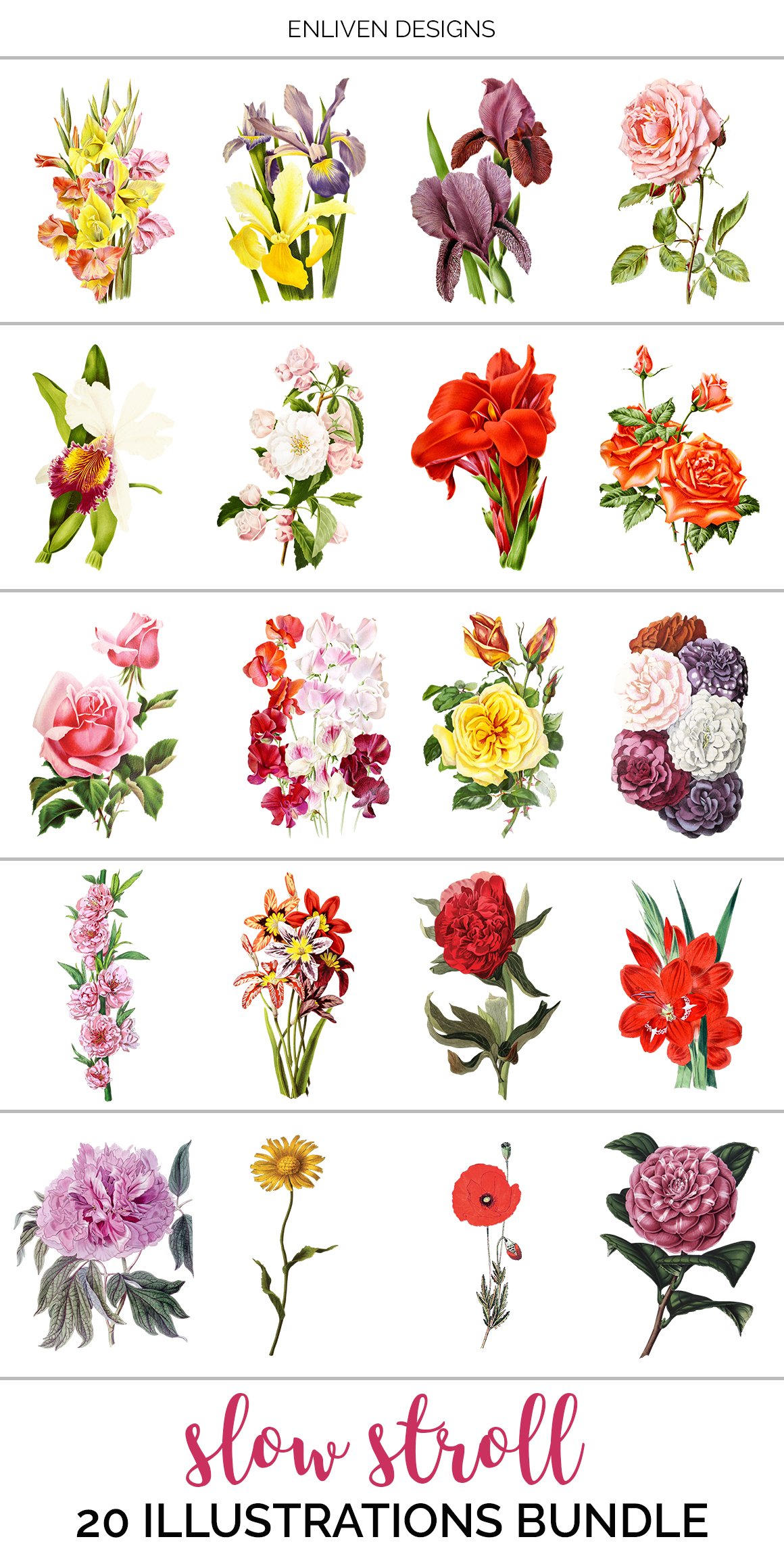 Flower Bundle Vintage Clipart (117597)