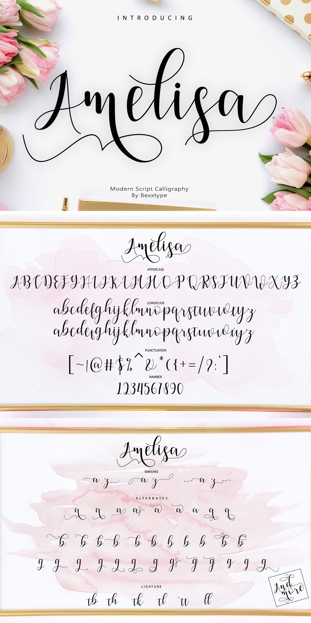 Amelisa Script (40591)