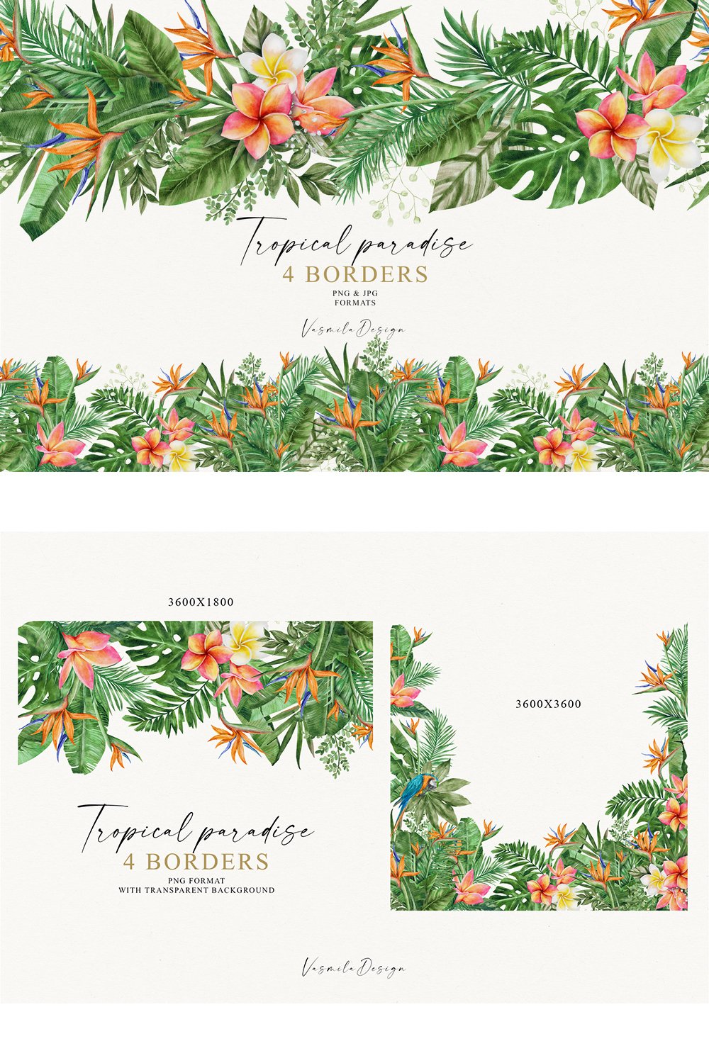 Watercolor Tropical Borders (3760577)