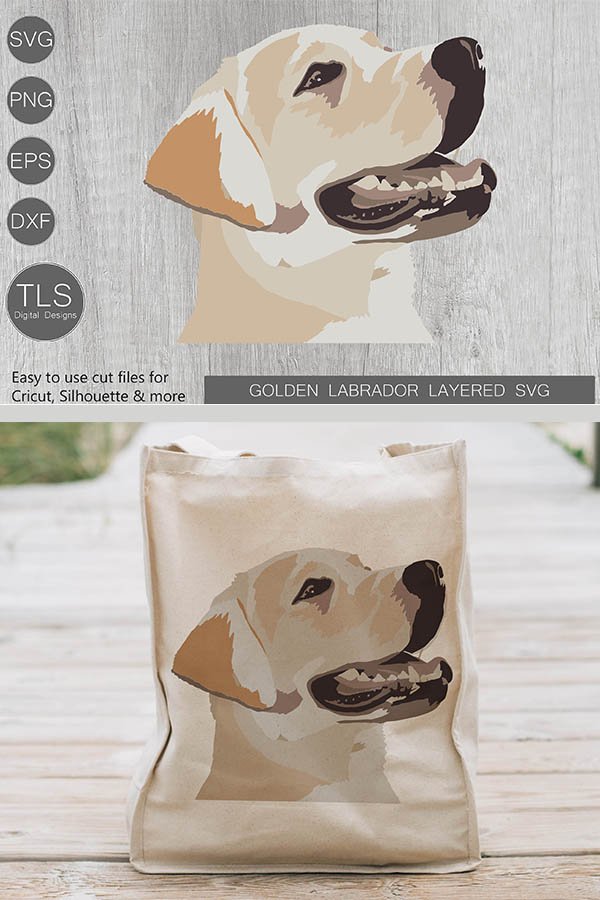 Golden Labrador | Multilayered SVG