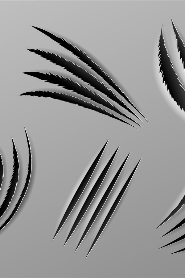 Realistic claws scratch. Rough holes in paper sheet, wild an