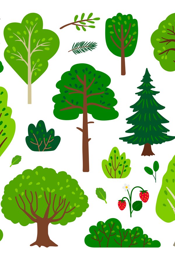 Cartoon forest tree set