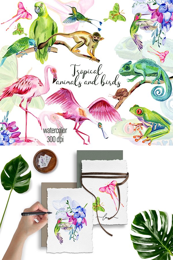 Tropical jungle animal collection flamingo, butterfly