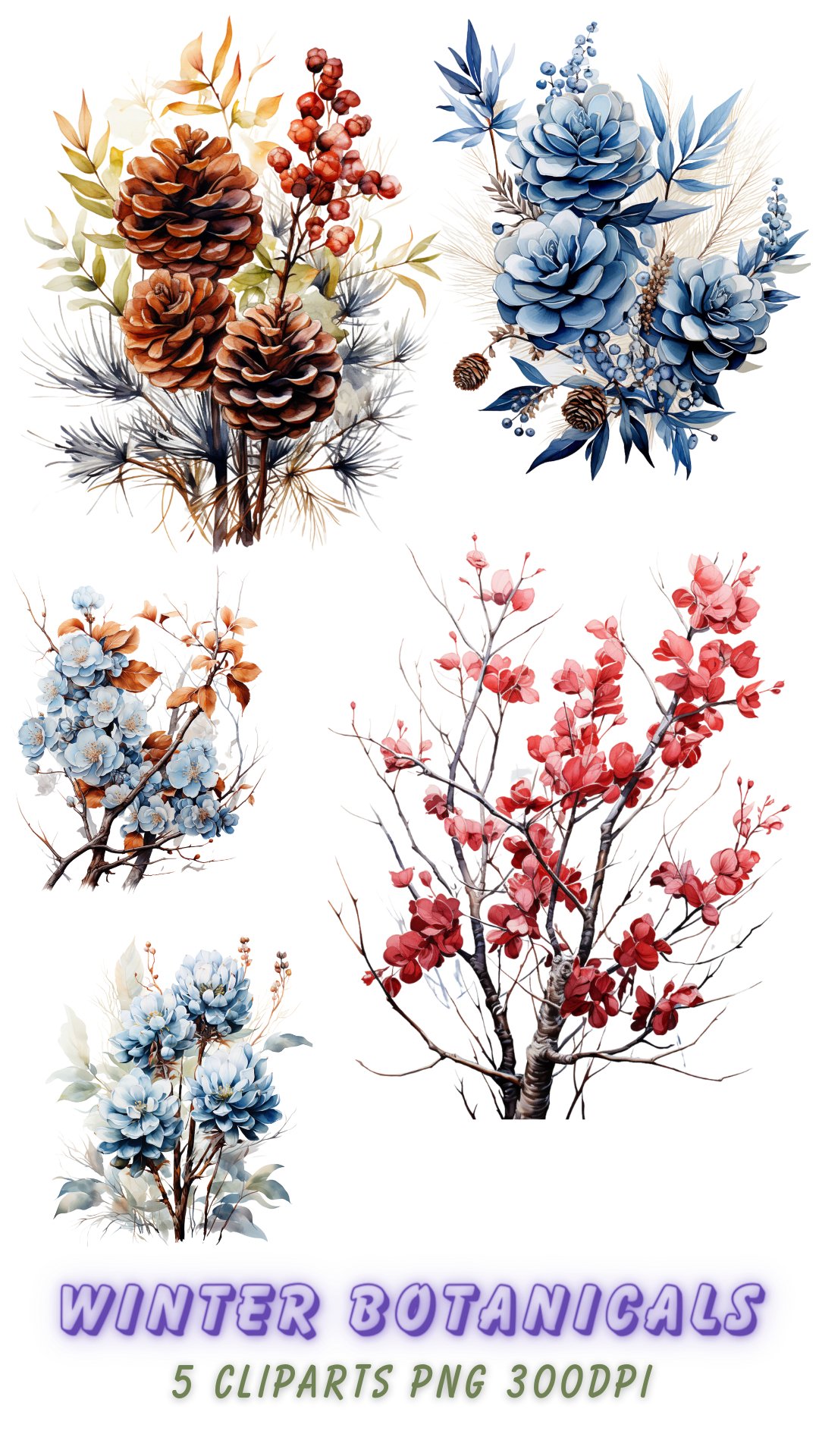 Botanicals Watercolor Clipart Collection | Winter Clipart