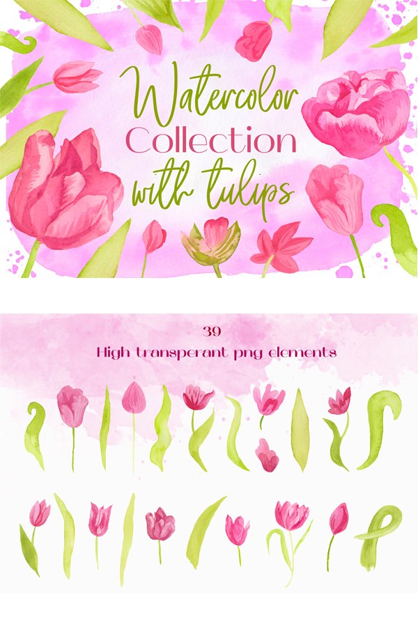 Collection with Watercolor pink tulips.Png Clip Art flowers.