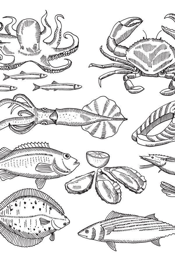Hand drawing vector illustrations of sea food for restaurant