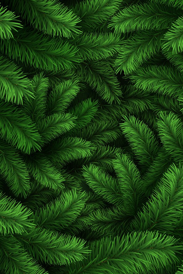Realistic merry christmas natural wreaths with (1528779)