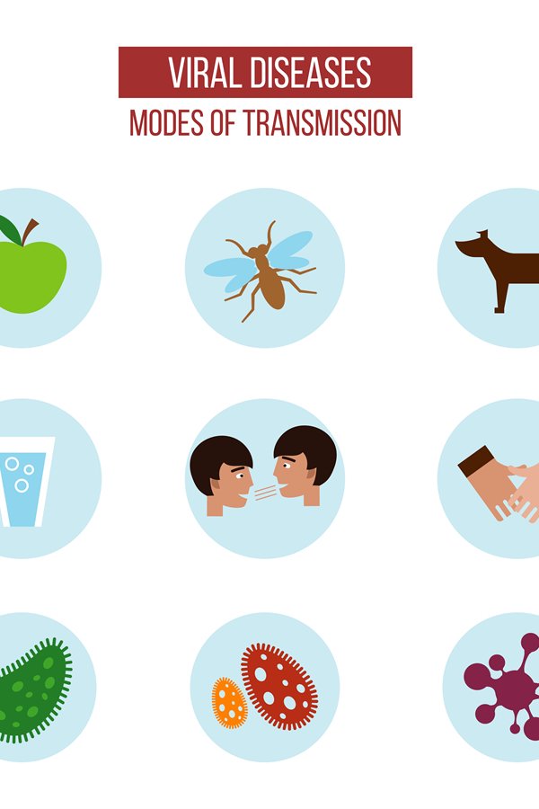 Viral diseases and modes of transmission icons