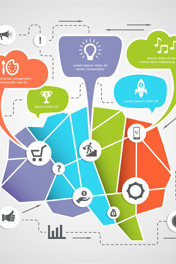 Brain infographic. Creativity learning thinking processes br