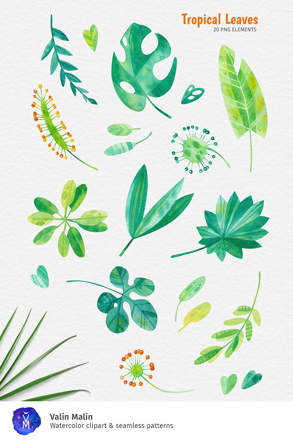 Tropical leaves collection. Watercolor clipart (1654233)