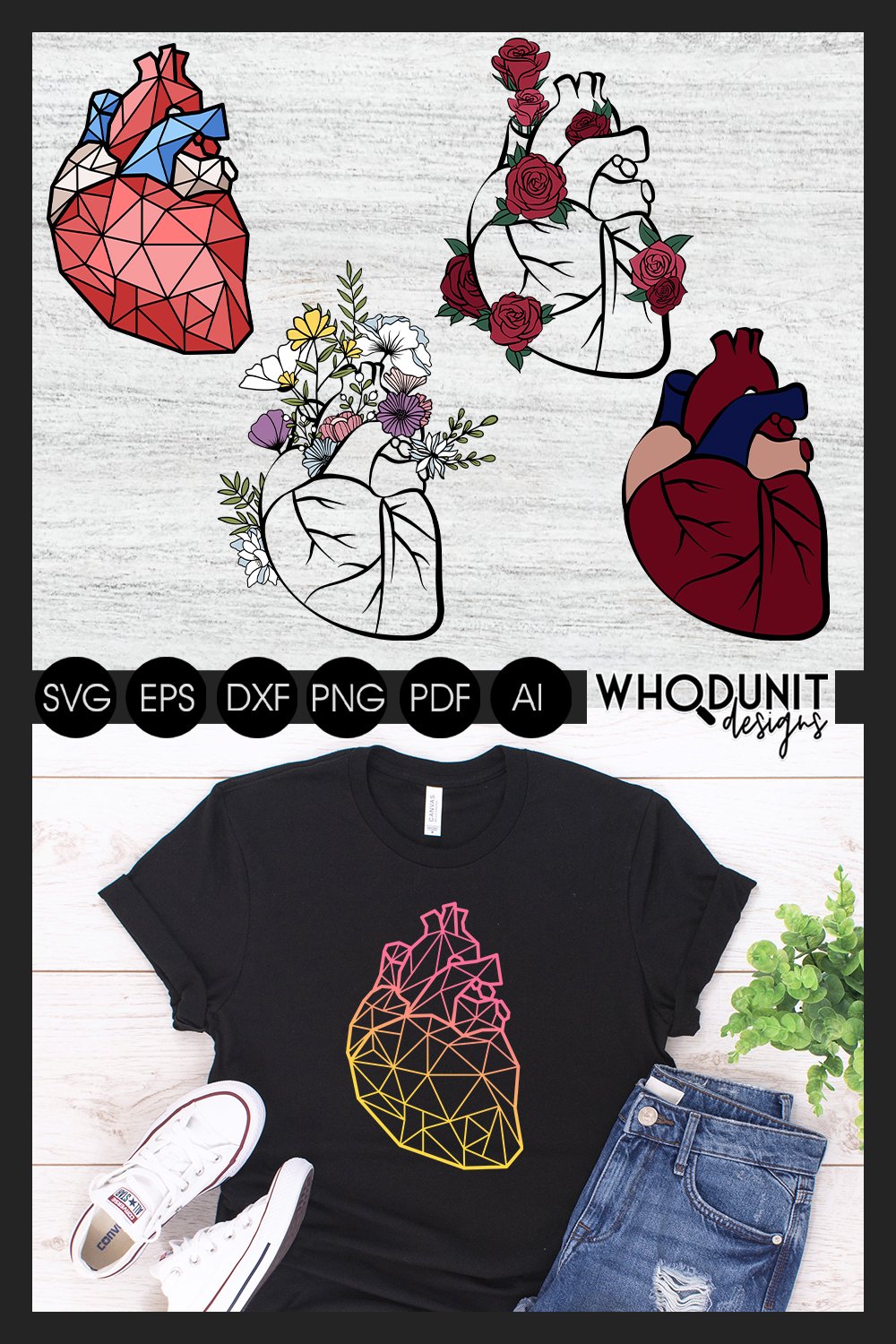 Anatomical Heart SVG Bundle | Human Heart cut file Bundle