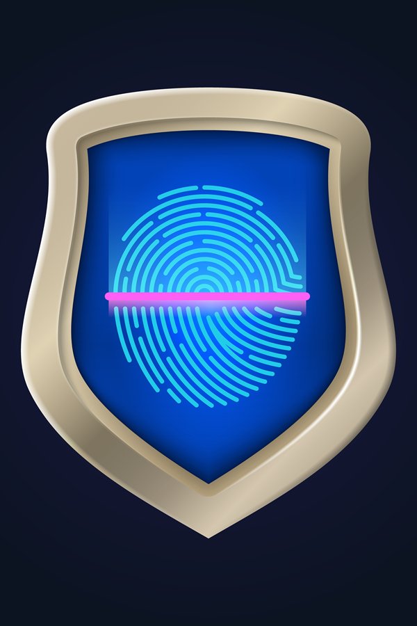 safety. Fingerprint verification and data protection. Ident
