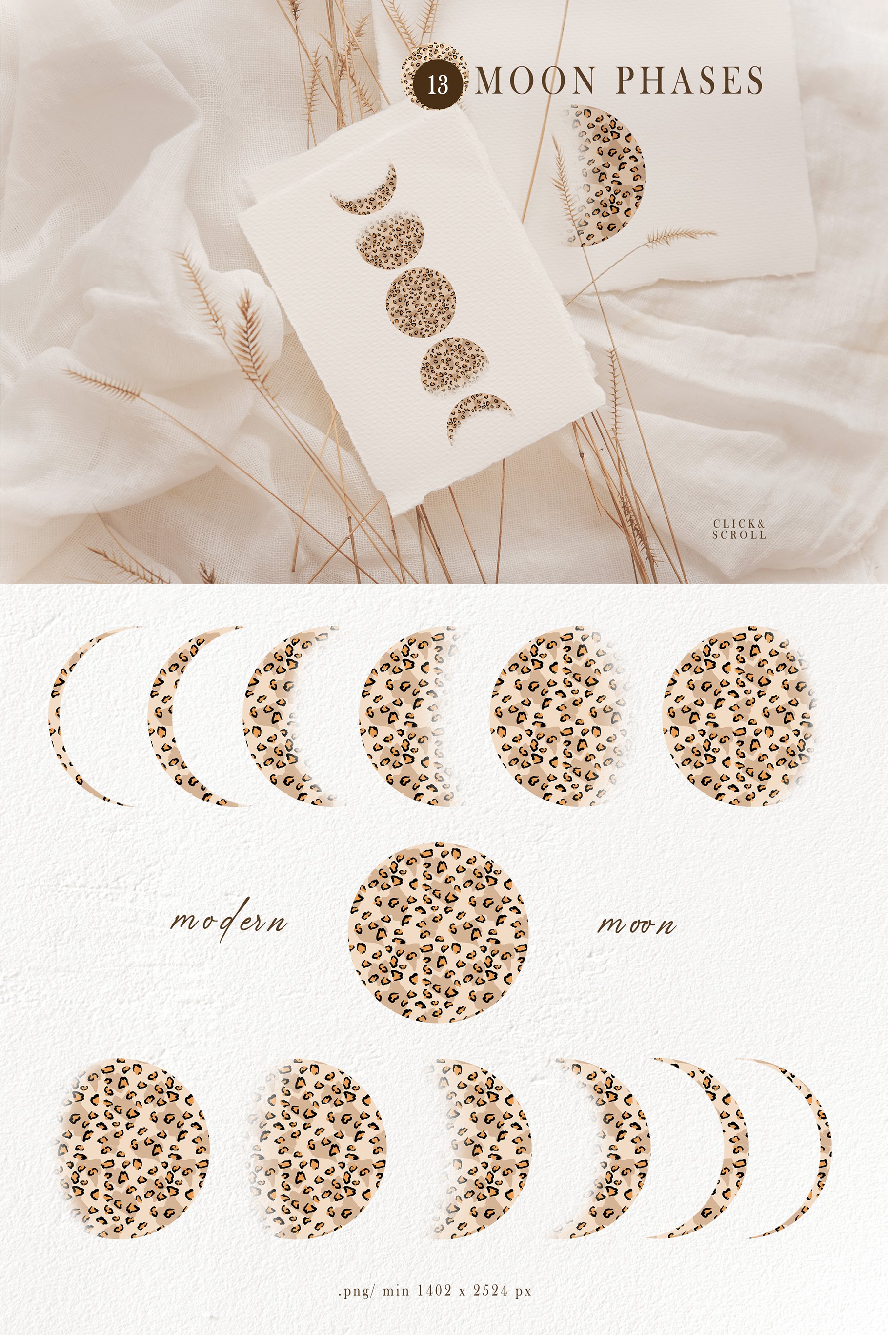 Leopard moon phases clipart. Moon phases png files