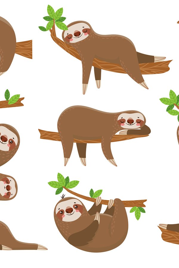 Cartoon sloths family. Adorable sloth animal at jungle rainf