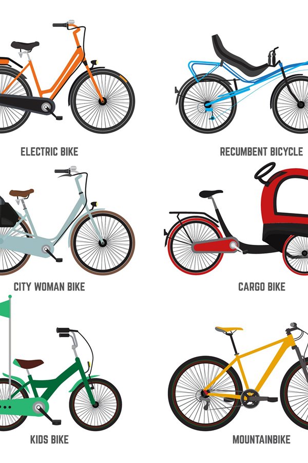 Different type of bicycles for male female and kids. Bikes f