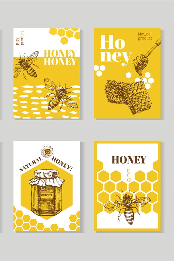 Hand drawn honey posters. Natural honey packaging with bee,