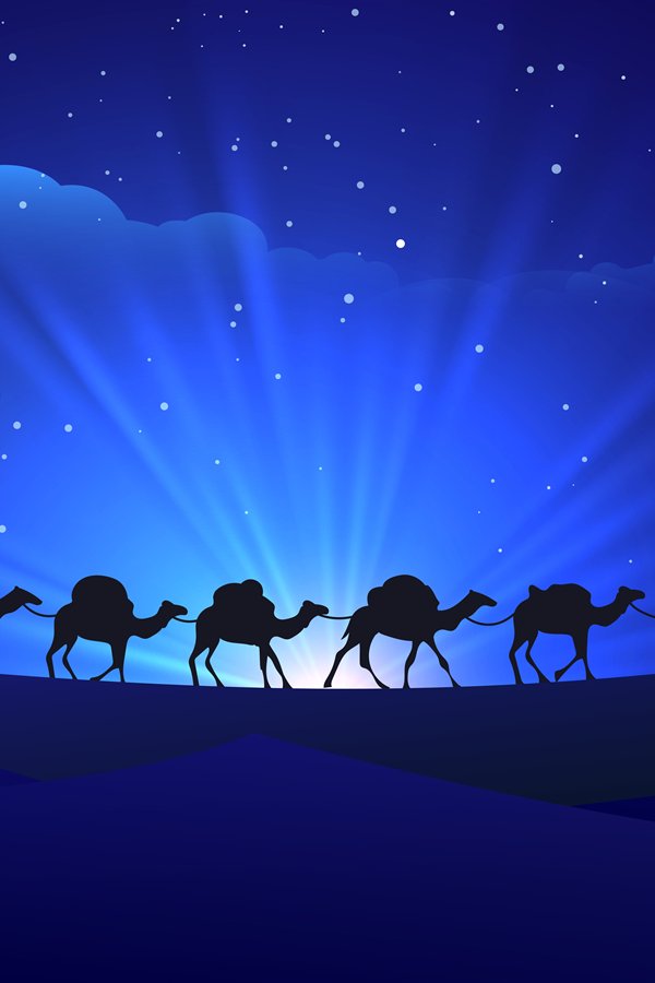 Walking camel caravan night background