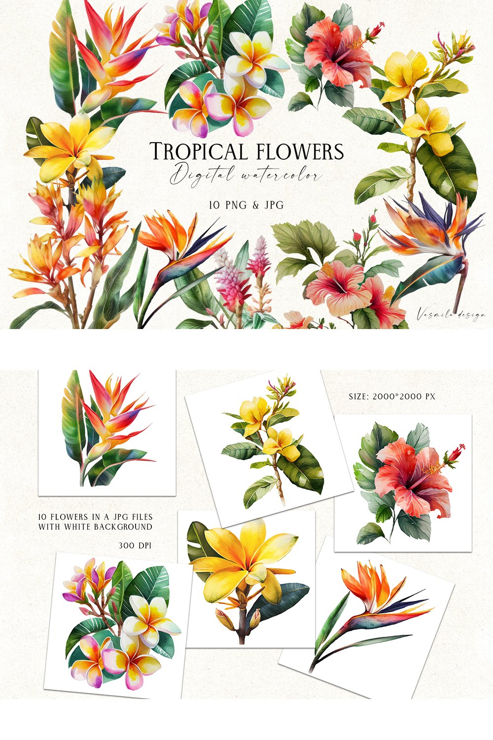 Watercolor Tropical Flowers Clipart (2510055)