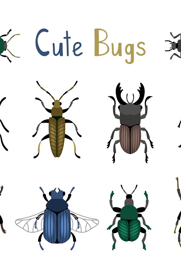 Cute bug icon set
