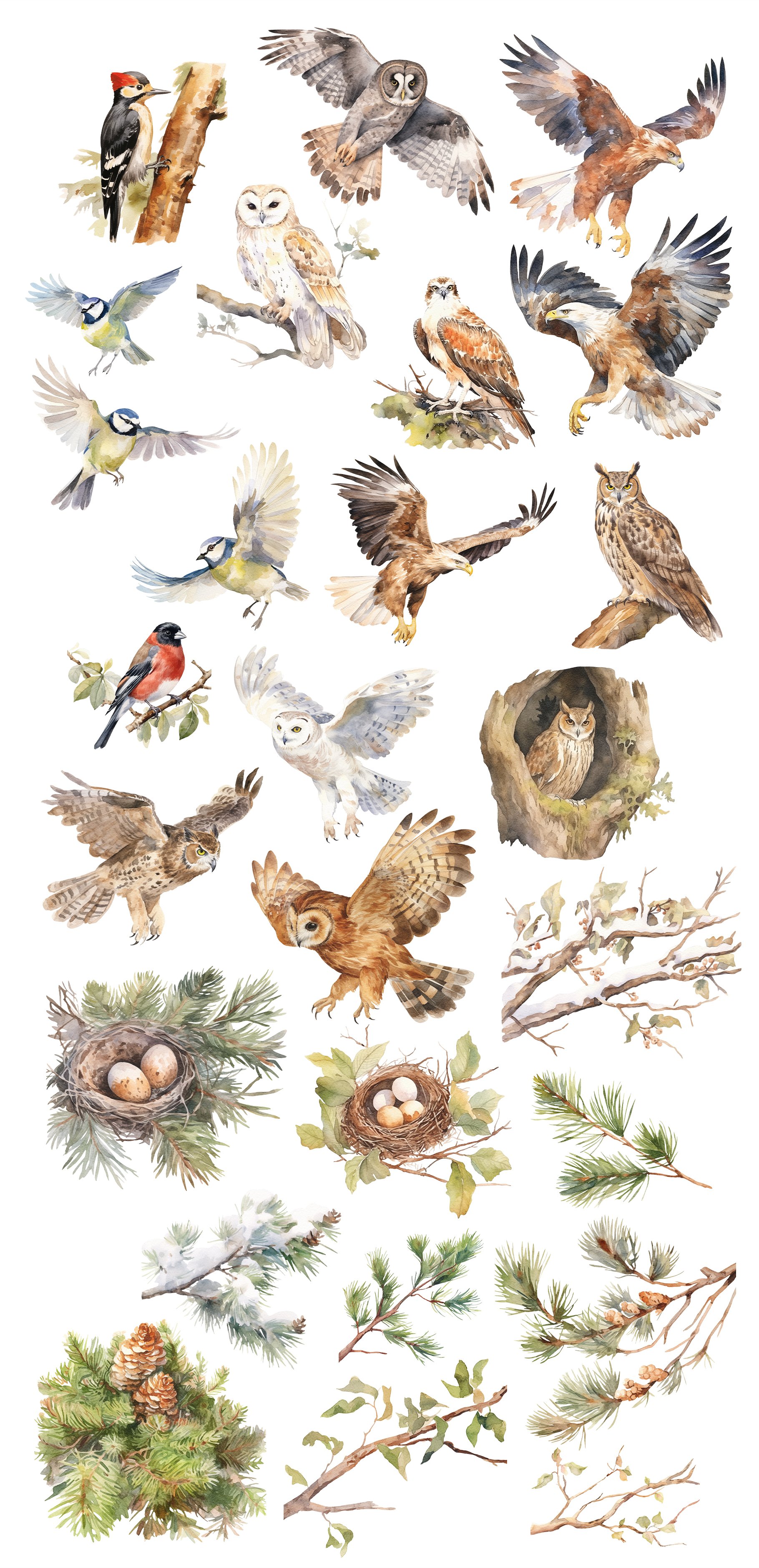 Woodland Bundle (3222204)