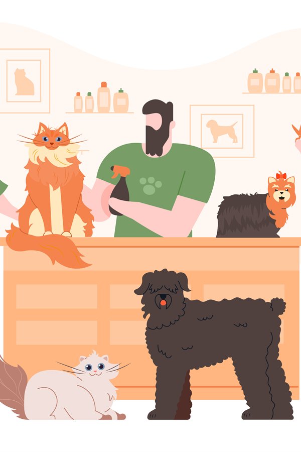 Pets in grooming salon. Domestic dogs and cats in coat care