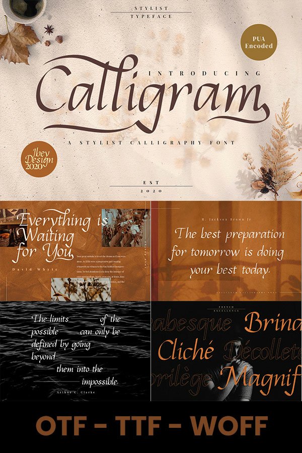 Calligram Calligraphy Script Font