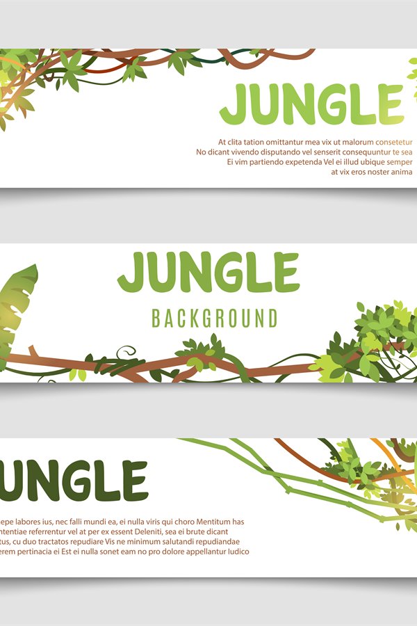 Tropical plants vector banner. Jungle leaves and lianes bann